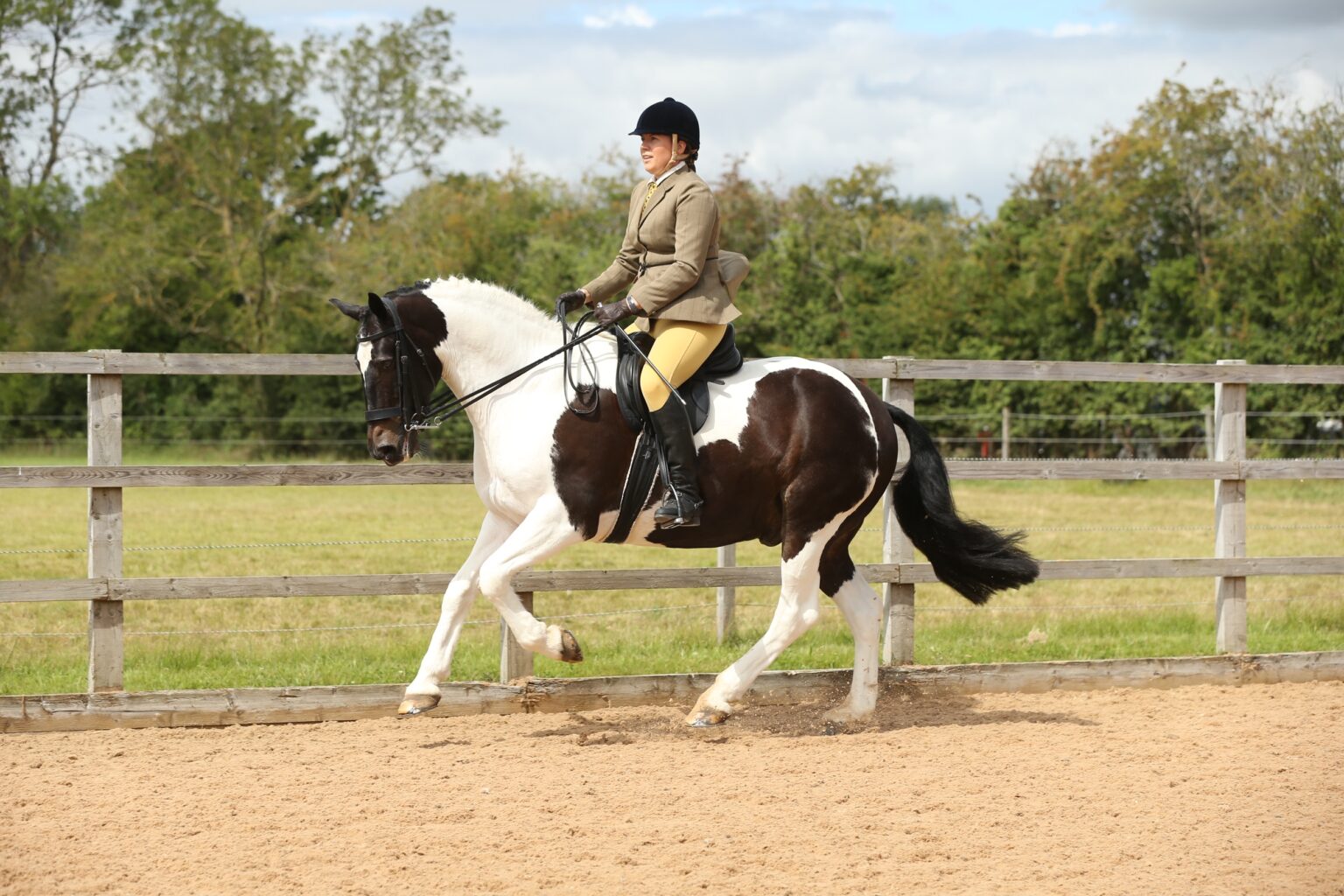 Mallenders and Sallenders - Honeychop